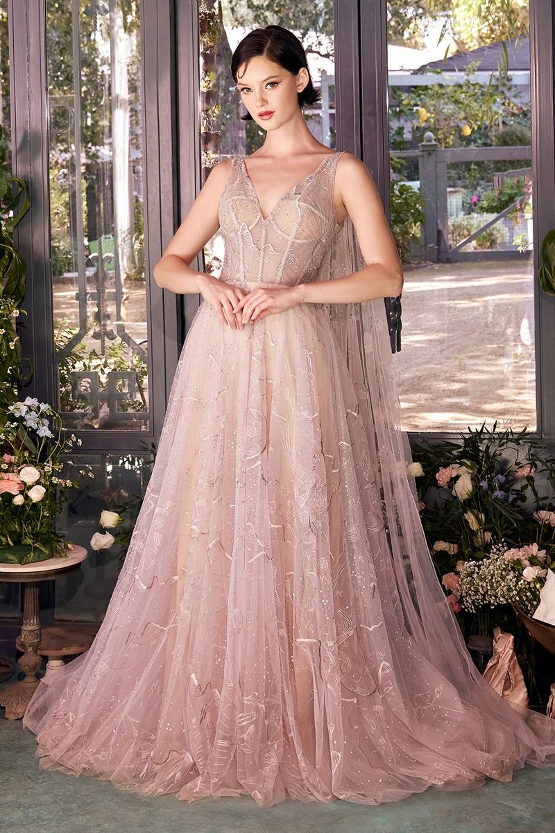 Blush Sheer Tulle Embroidered Gown | Illusion V-Neck A-Line Dress with ...