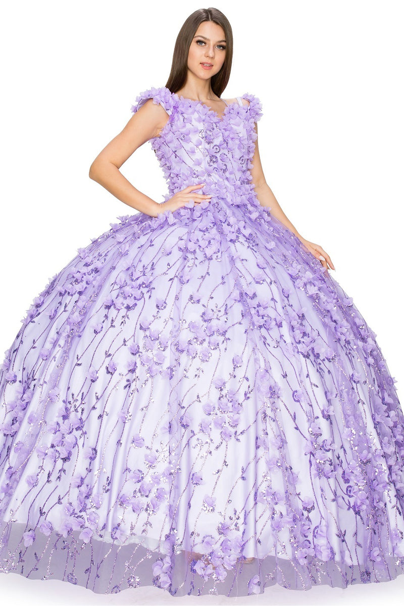 Buy floral applique ball gown at SMCDress.com